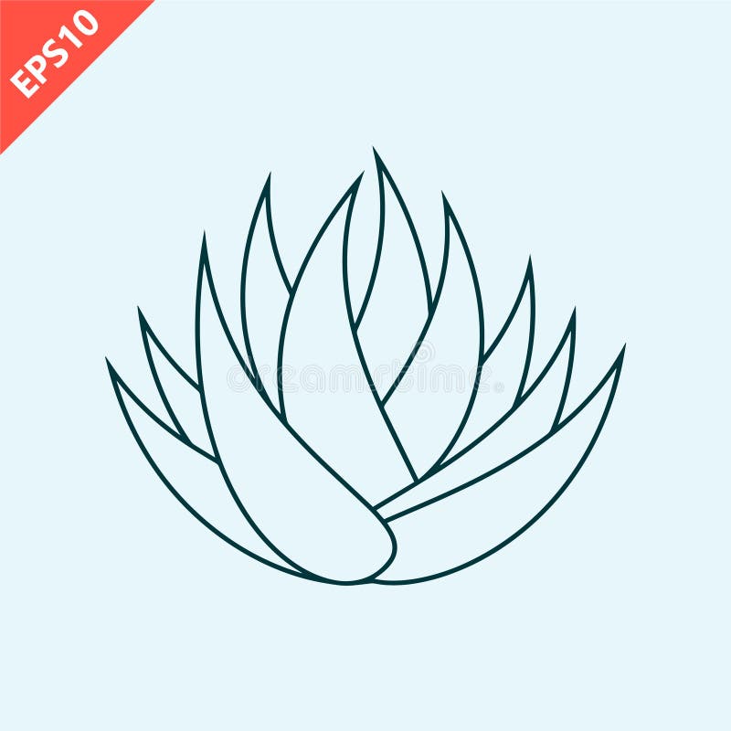 Agave Plant Design Logo Icon Flat Isolated Vector Illustration Stock ...