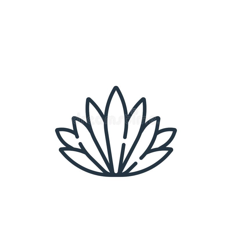 Agave Vector Stock Illustrations – 8,454 Agave Vector Stock ...