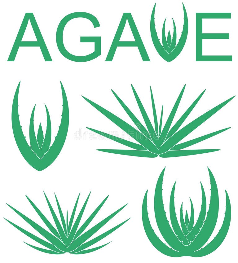 Agave Banner Stock Illustrations – 1,734 Agave Banner Stock ...