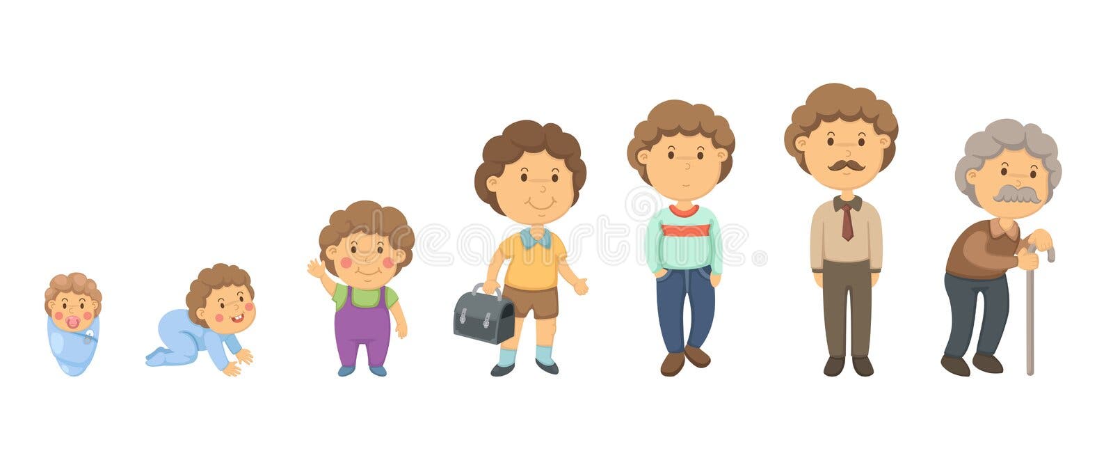 Concept of Life Cycles of Man and Woman. Visualization of Stages of ...