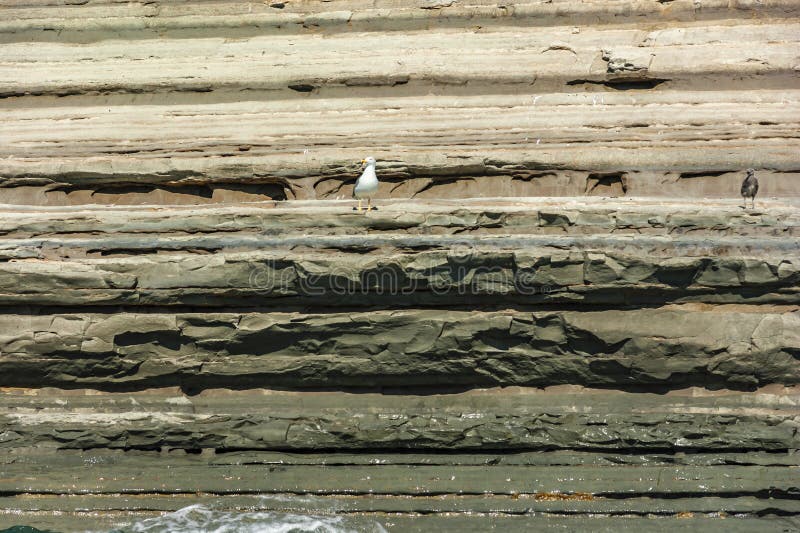 Characteristic Individual Layers of the Cliff Testifying To Its Age ...