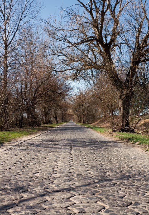 Age-old stone road stock photo. Image of road, ukraine - 19402626