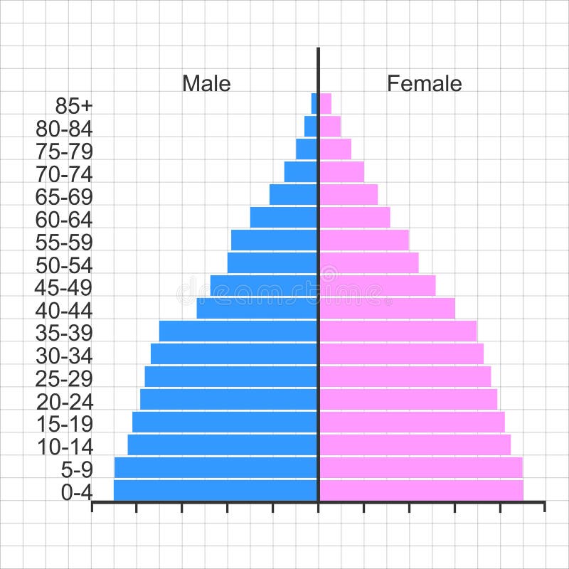 Age Structure Diagram Template. Population Pyramid Isolated on White ...