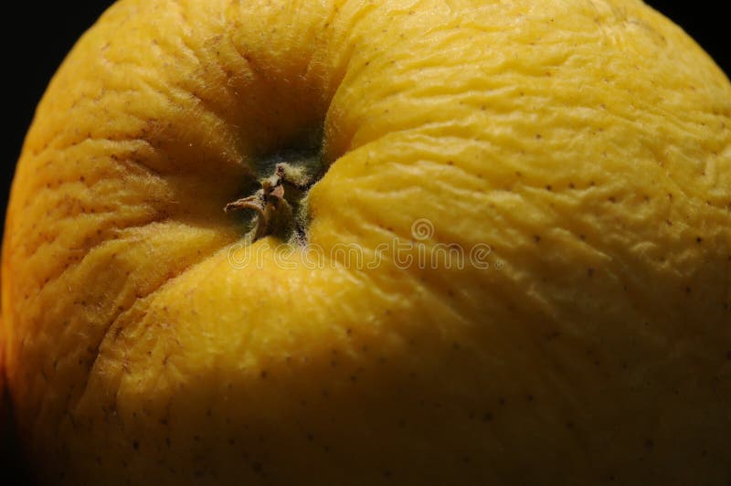 Aged apple stock image. Image of little, detail, season - 52417739