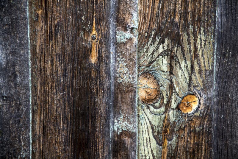 Aged Boards Close-up. Background for Design and Presentations Stock ...