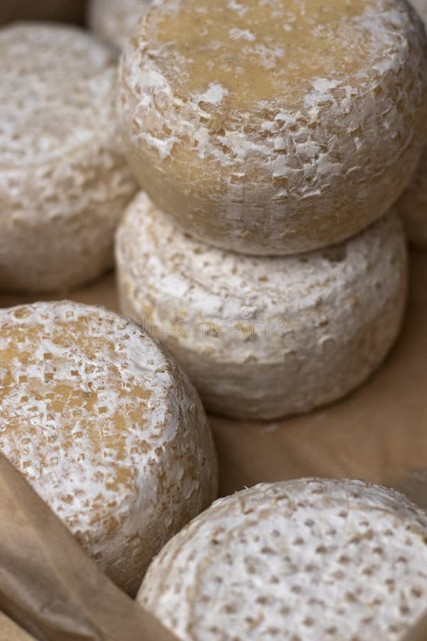 Aged cheese. stock photo. Image of marketplace, closeup - 278426880