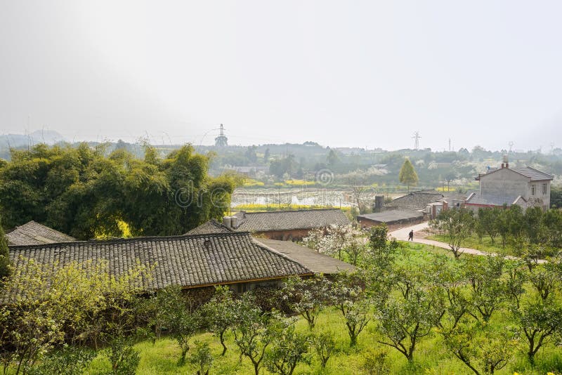 Aged Chinese Village in Sunny Spring Stock Photo - Image of flowering ...