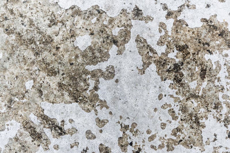 Aged Concrete Floor Textures Background Stock Image - Image of building ...