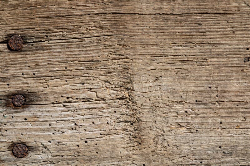 Aged Wood Closeup Surface Texture in Poor Condition Stock Photo - Image ...