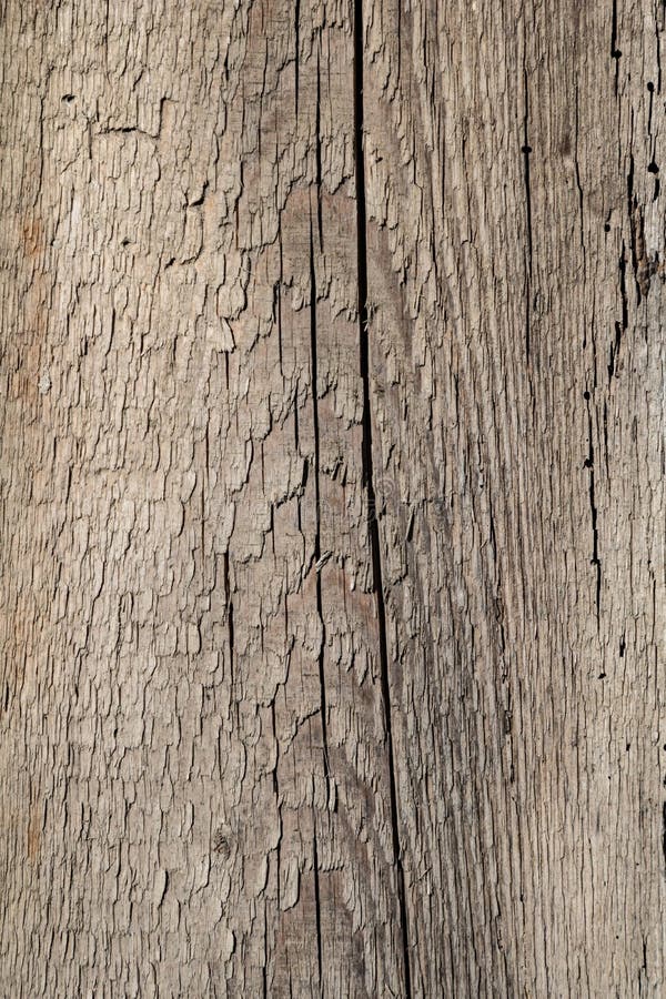 Aged Cracked Wood Surface Texture in Poor Condition Stock Photo - Image ...