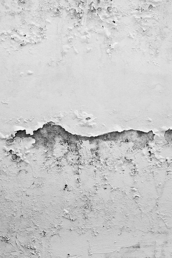 Aged, Deteriorated, and Moisture-compromised Cement Plaster ...