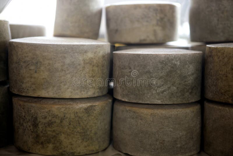 Aged French Cheese Wheels Stacked Stock Image - Image of pattern ...