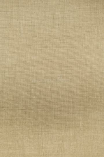 Tan Linen Background Stock Illustrations – 1,790 Tan Linen Background ...