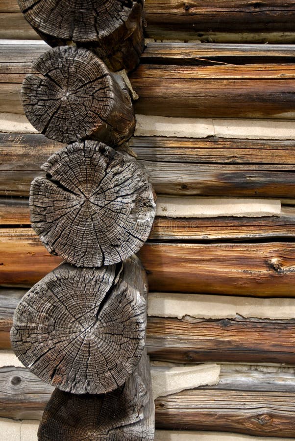 Aged log ends. stock image. Image of aged, weathered, logs - 5606607