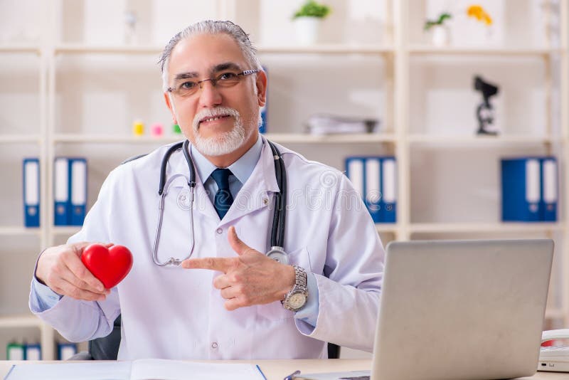 The Aged Male Doctor Cardiologist with Heart Model Stock Image - Image ...