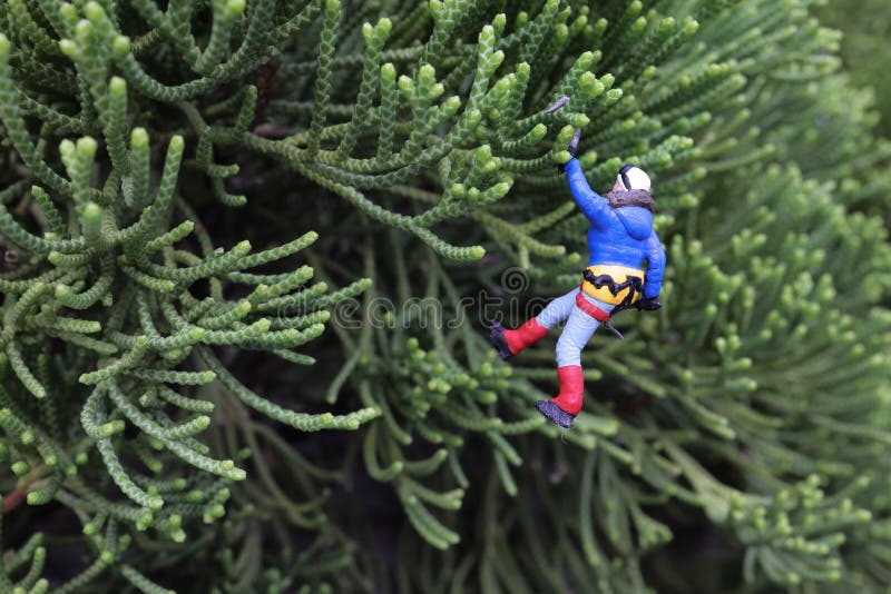 Miniature Figure Aged Man Proudly Standing on Tree Branch Stock Image ...