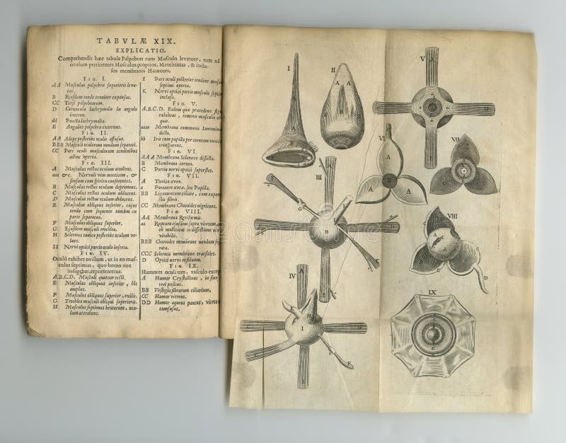 Aged Old Anatomy Book. an Old Anatomy Book with Its Pages on Display ... Aged Old Anatomy Book. an Old Anatomy Book with Its Pages on Display ...