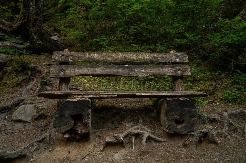 Aged Park Bench Along Trail at Sol Duc Falls Stock Image - Image of ...