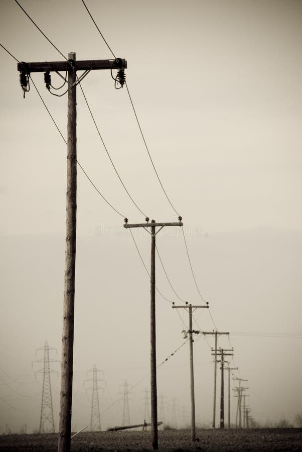 Telephone Poles And Wires