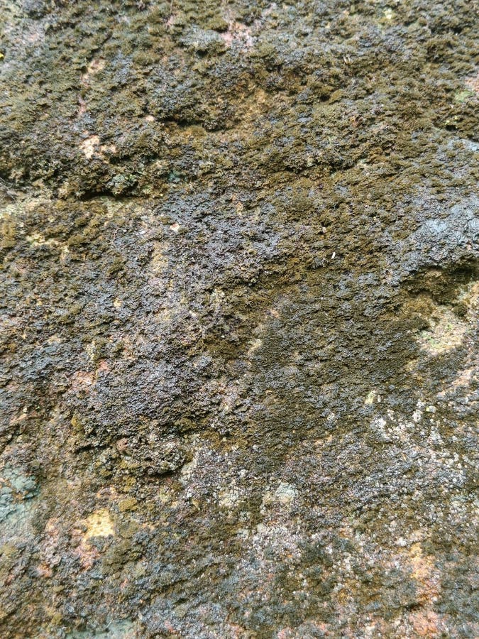 Aged Rock Surface Texture Close Up Stock Photo - Image of close ...