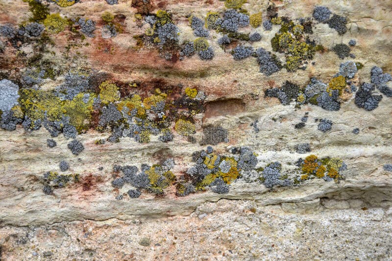Aged Wall of Old Building with Multicolored Moss, Natural Background ...