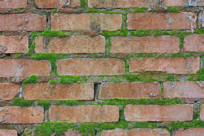 Aged Brick Wall Texture Background Stock Photo - Image of detail ...