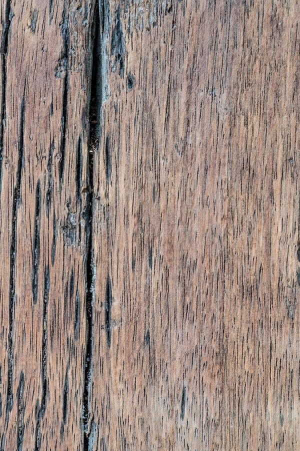 Aged Wood texture stock photo. Image of hardwood, design - 78966764