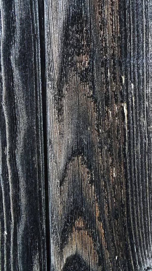 Wood Texture Closeup Side View Stock Photo - Image of bumpy, building ...
