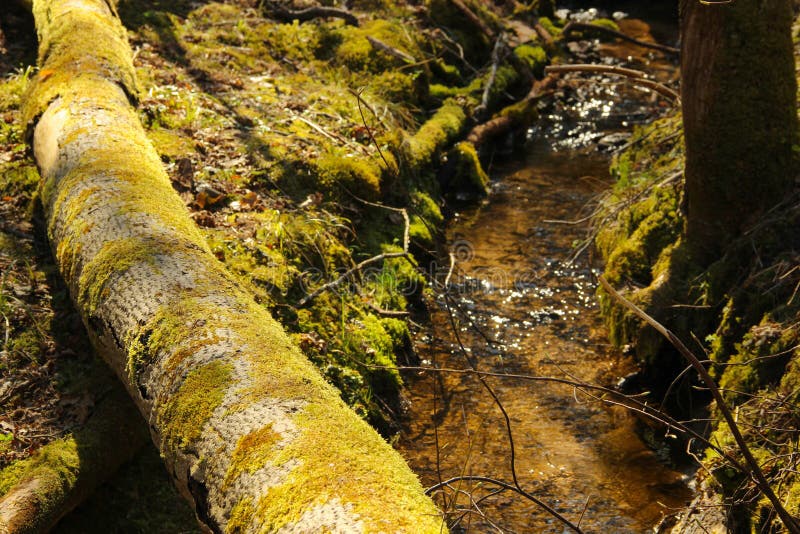 1,104 Fallen Beam Stock Photos - Free & Royalty-Free Stock Photos from ...