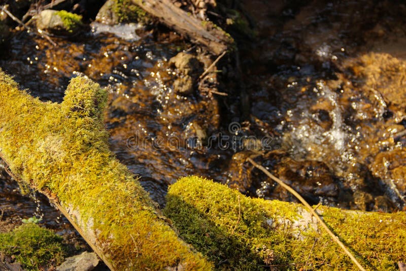 1,104 Fallen Beam Stock Photos - Free & Royalty-Free Stock Photos from ...