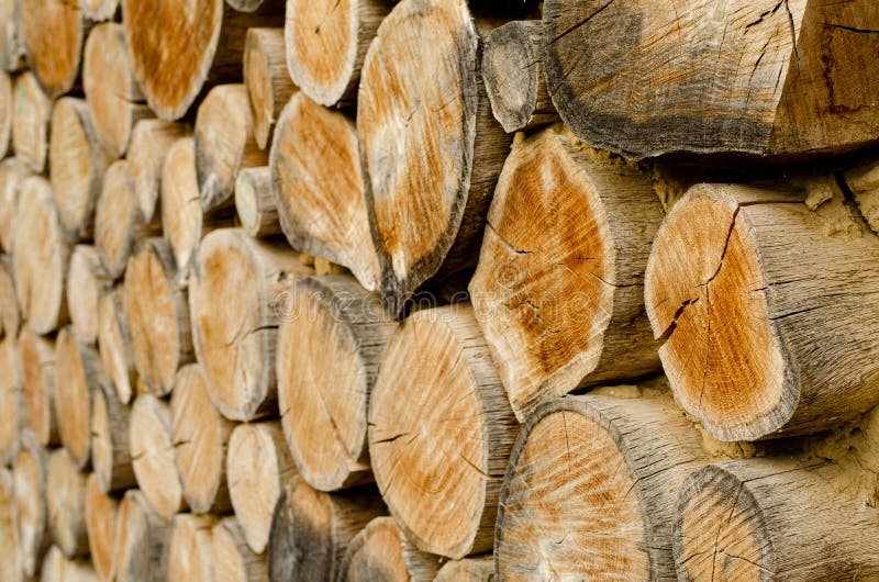 Aged Wooden Rings Background. Wood Logs Stock Photo - Image of closeup ...