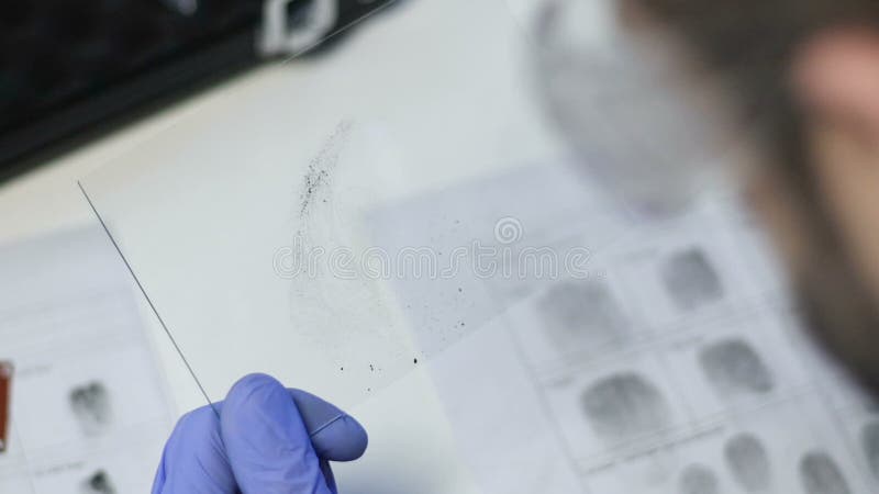 Agent Comparing Suspect Fingerprint Sample with Database File ...
