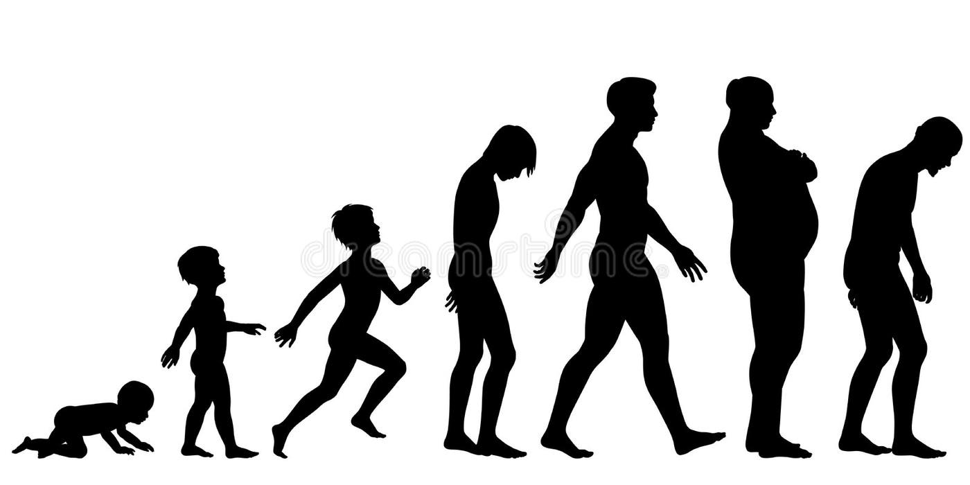 Child Age Progression Stock Illustrations – 66 Child Age Progression ...
