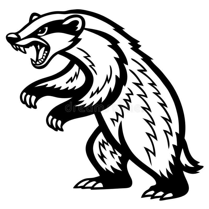 Aggressive Badger Vector Illustration for Nature Themed Designs and ...