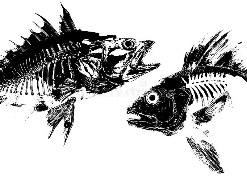 Aggressive Marine Fish Stock Illustrations – 6,835 Aggressive Marine ...