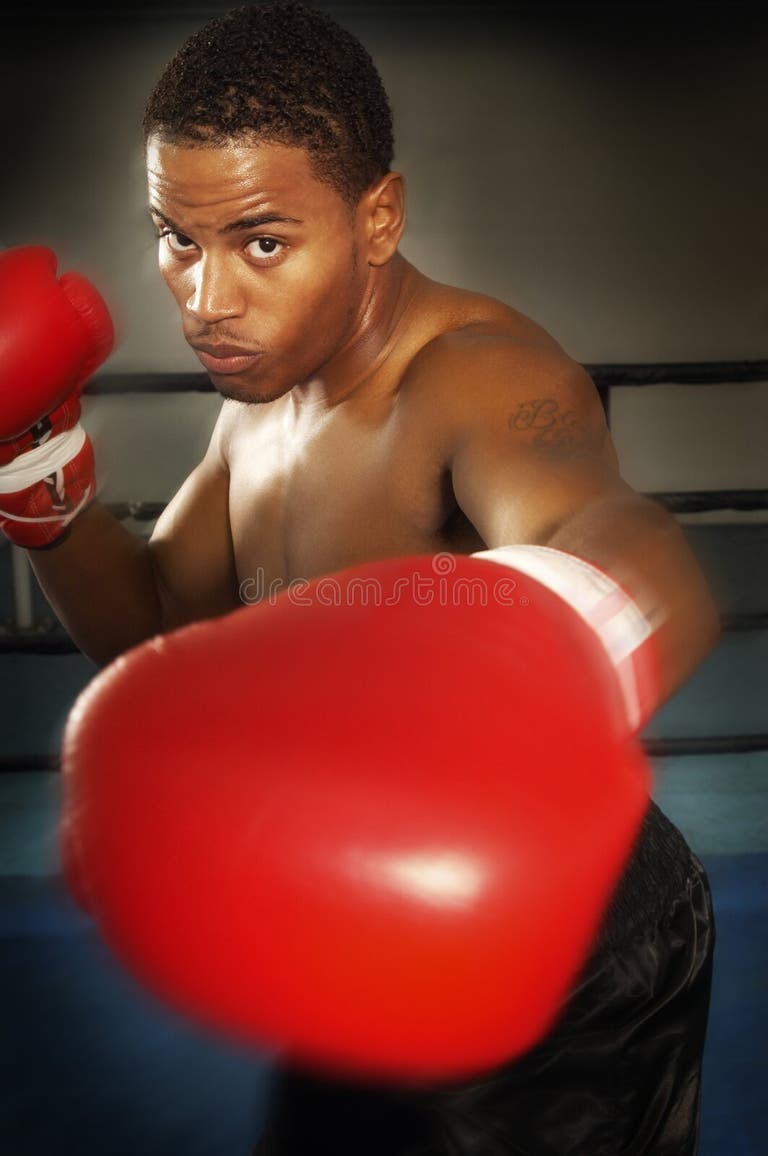 15,981 Boxer Punching Stock Photos - Free & Royalty-Free Stock Photos ...