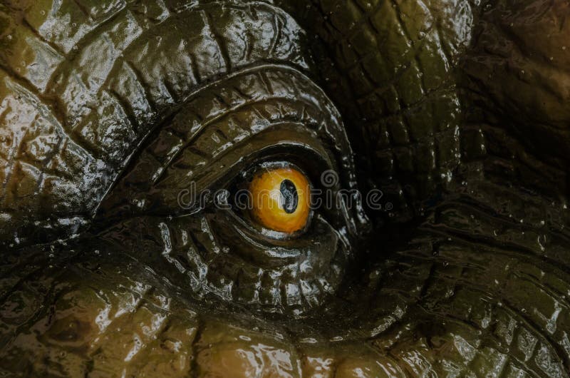 Aggressive T Rex eye. stock photo. Image of carnivorous - 66815254