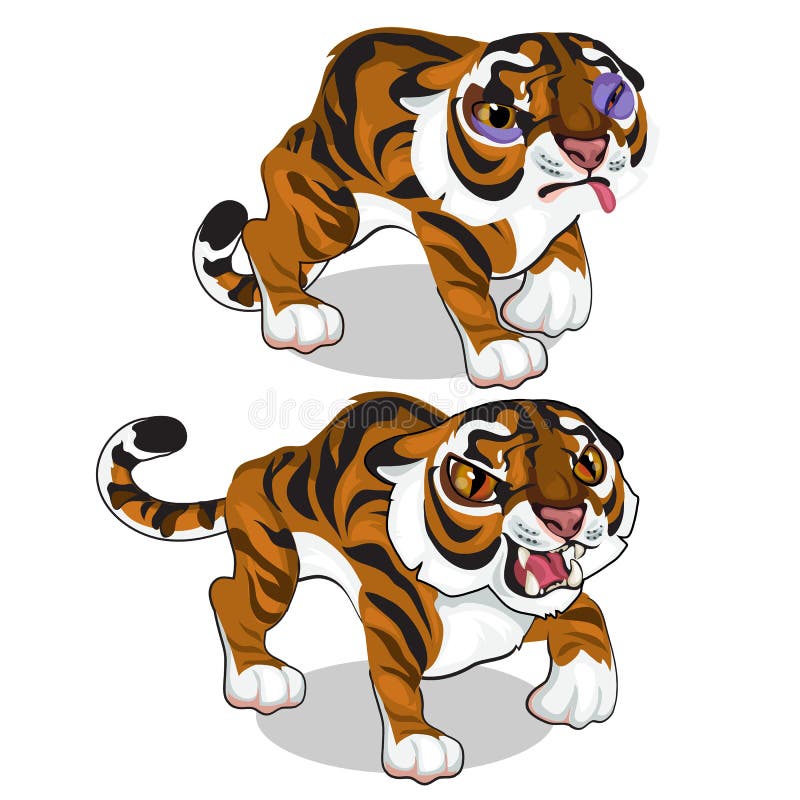 Aggressive Tiger and Tiger with a Bruise. Vector Stock Vector ...