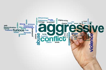 103,808 Aggressive Background Stock Photos - Free & Royalty-Free Stock ...