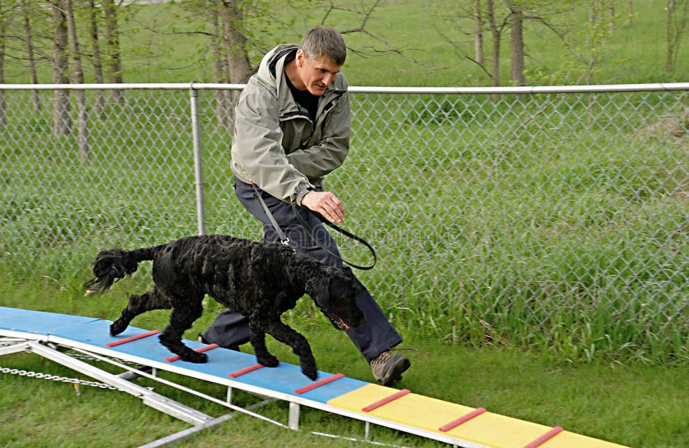 Agility Training stock image. Image of teamwork, coordination - 5167231