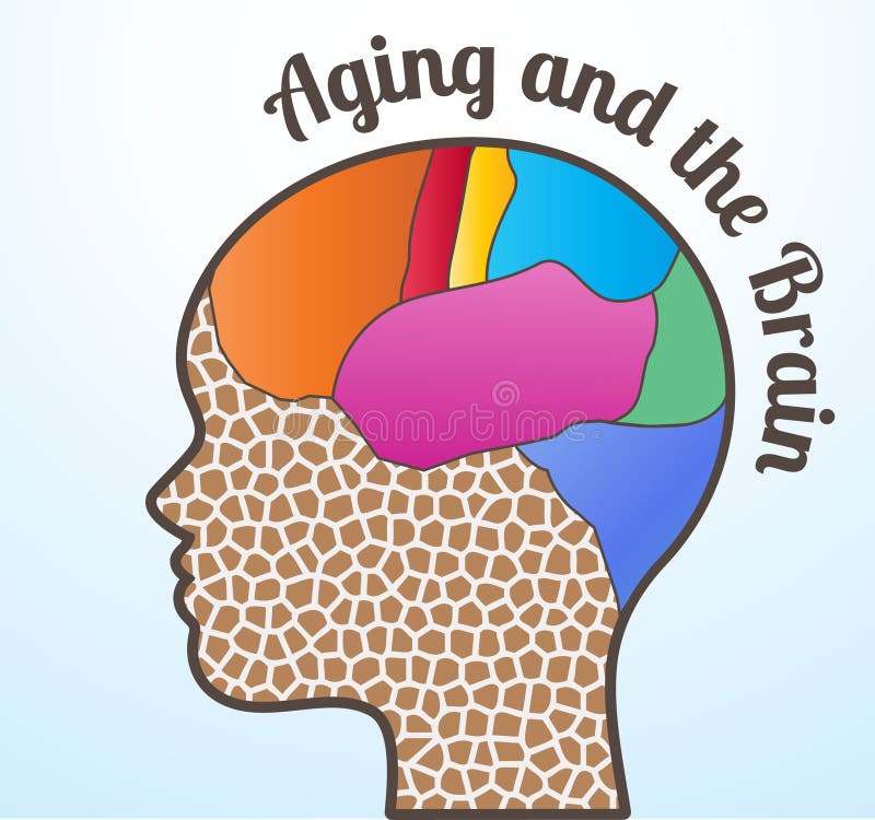 Aging And The Brain Stock Vector - Image: 56152497