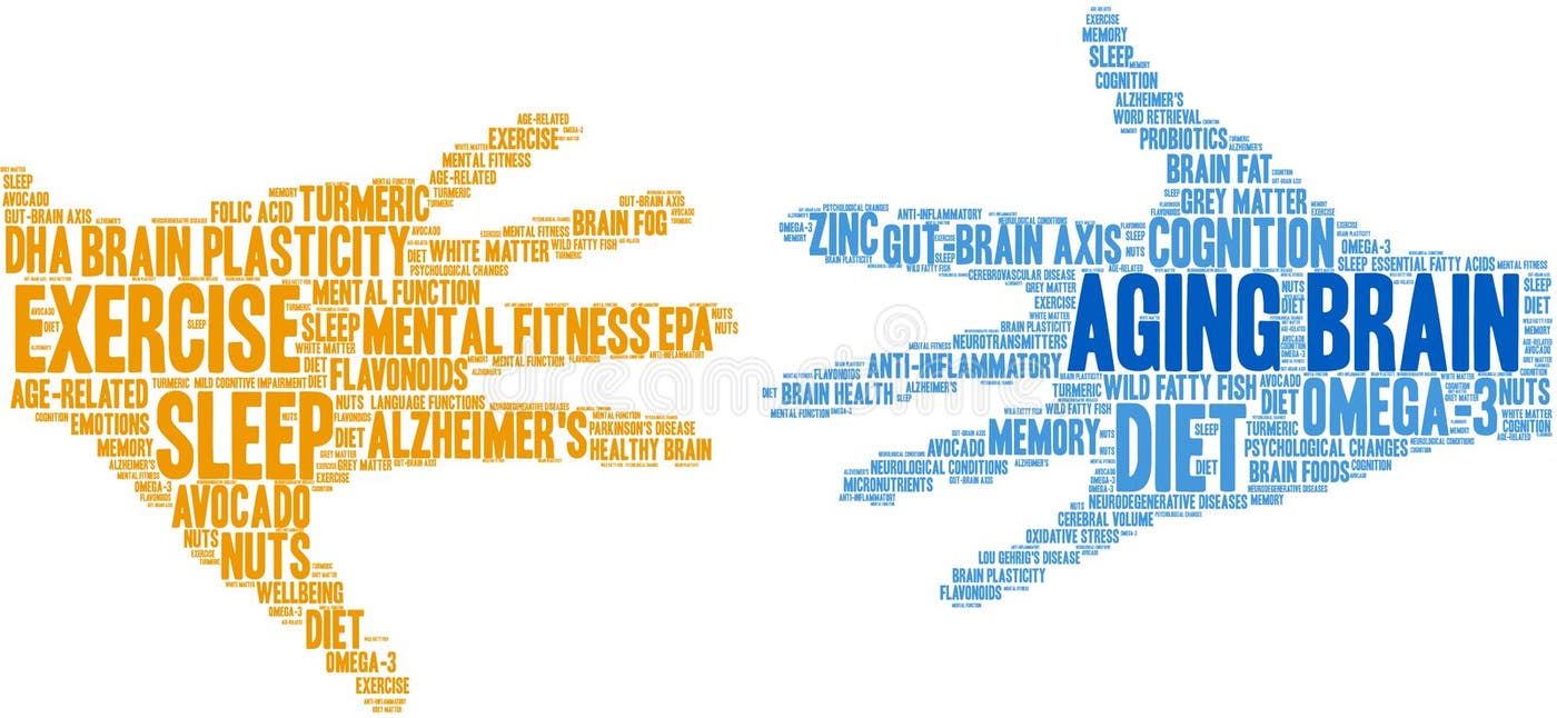 Brain Omega Essential Stock Illustrations – 237 Brain Omega Essential ...