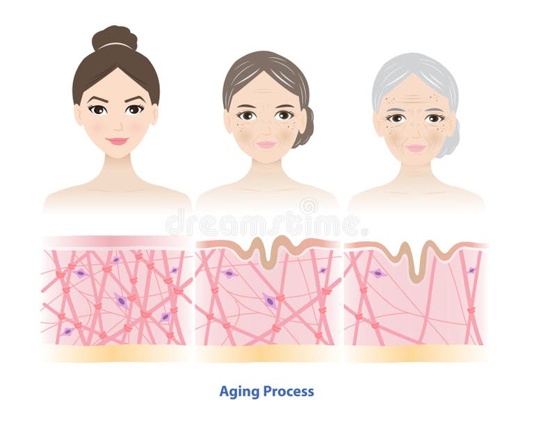 Generation Women Stock Illustrations 4 143 Generation Women Stock