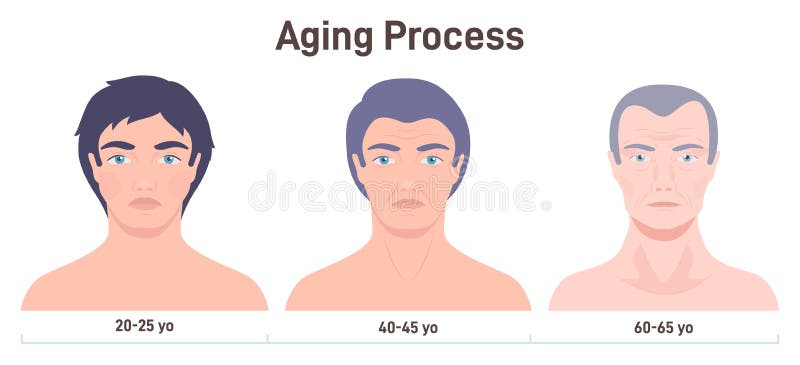 Aging Process. Face Skin Changes, Man Getting Wrinkles with Age Stock ...