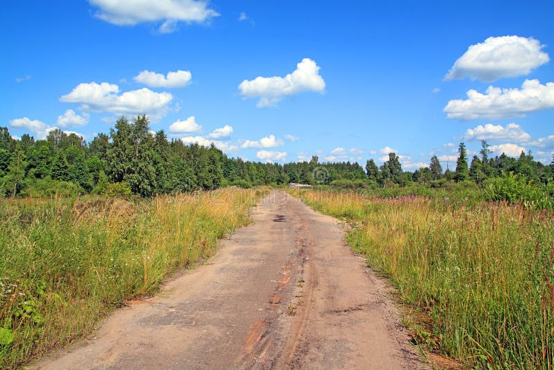 Aging rural road stock photo. Image of north, fresh, park - 12380452