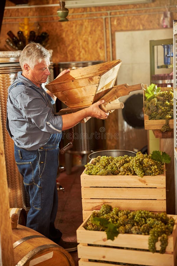 153 Winemaking Tools Stock Photos - Free & Royalty-Free Stock Photos ...