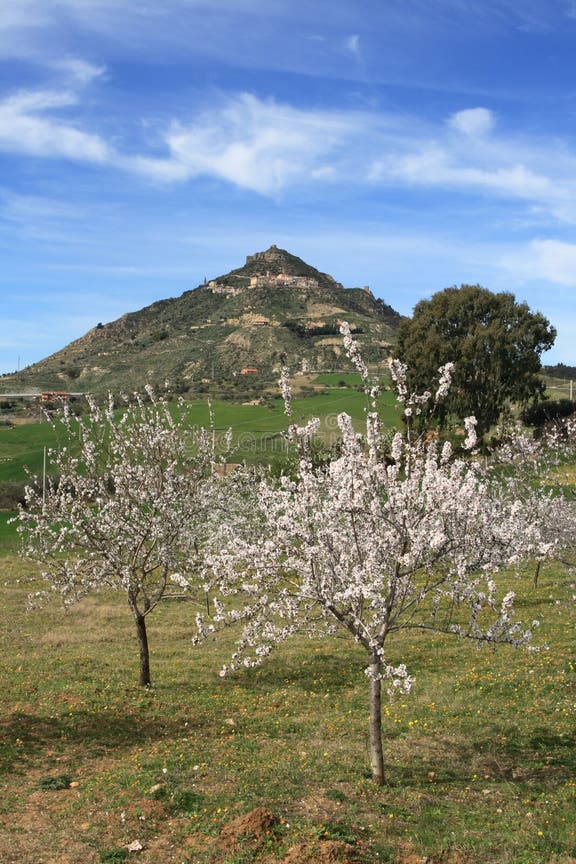 Agira stock image. Image of sicily, hill, almonds, agira - 2107101
