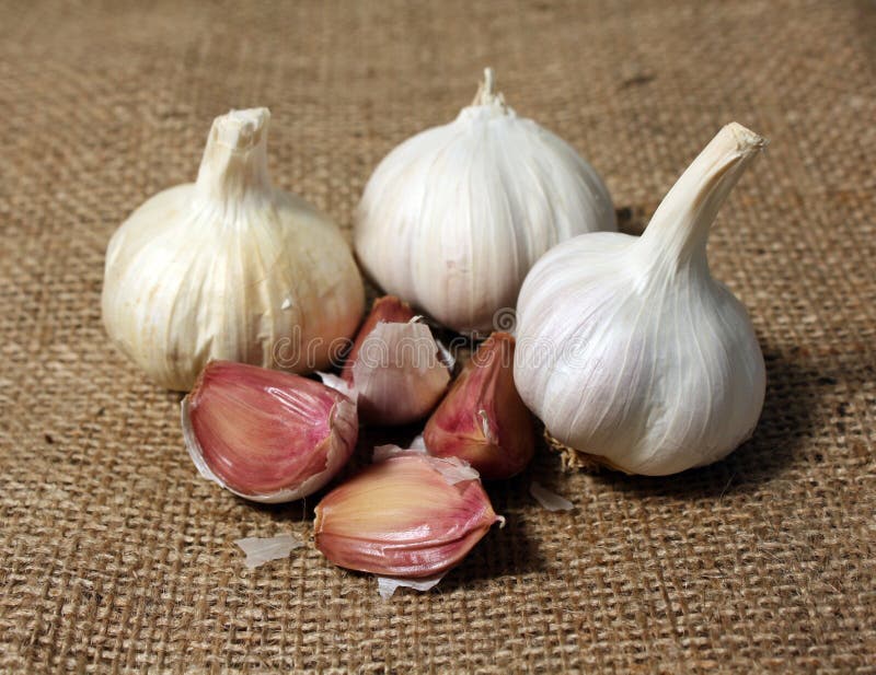 Aglio fotografia stock. Immagine di consumo, ingrediente - 16643232