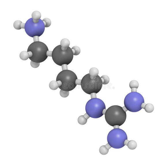 Agmatine Molecule. 3D Rendering. Atoms are Represented As Spheres with ...