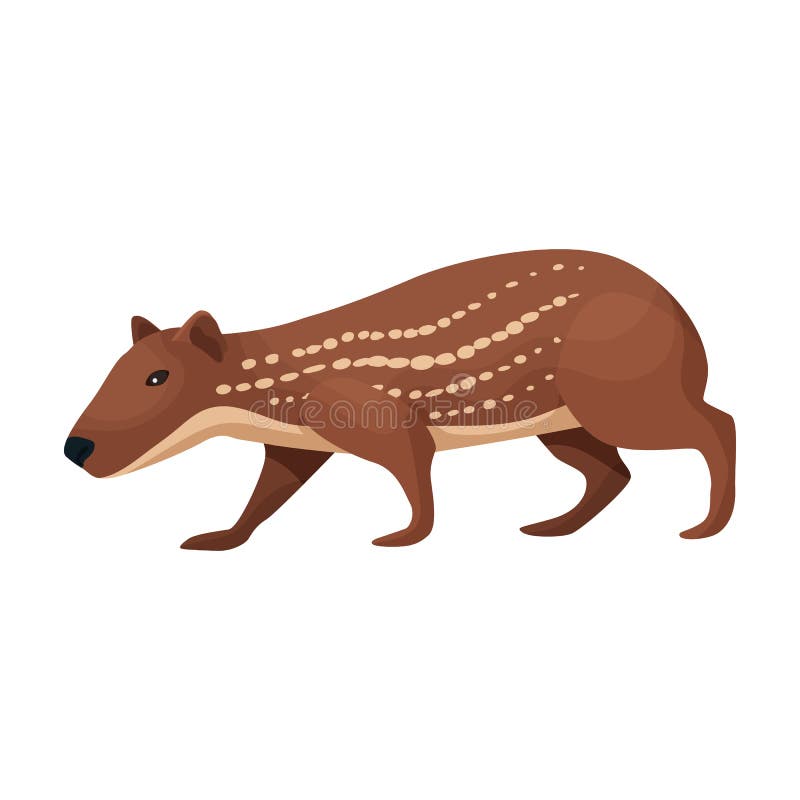 Agouti Vector Stock Illustrations – 135 Agouti Vector Stock ...